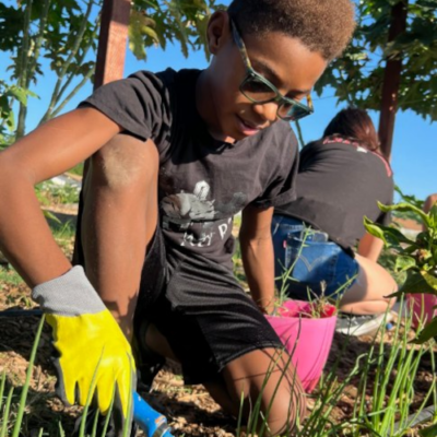 Service Project With Project Roots. - Valiant College Preparatory